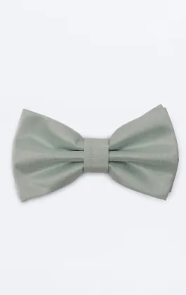 Light Green Dupion Bow Tie | Dobell